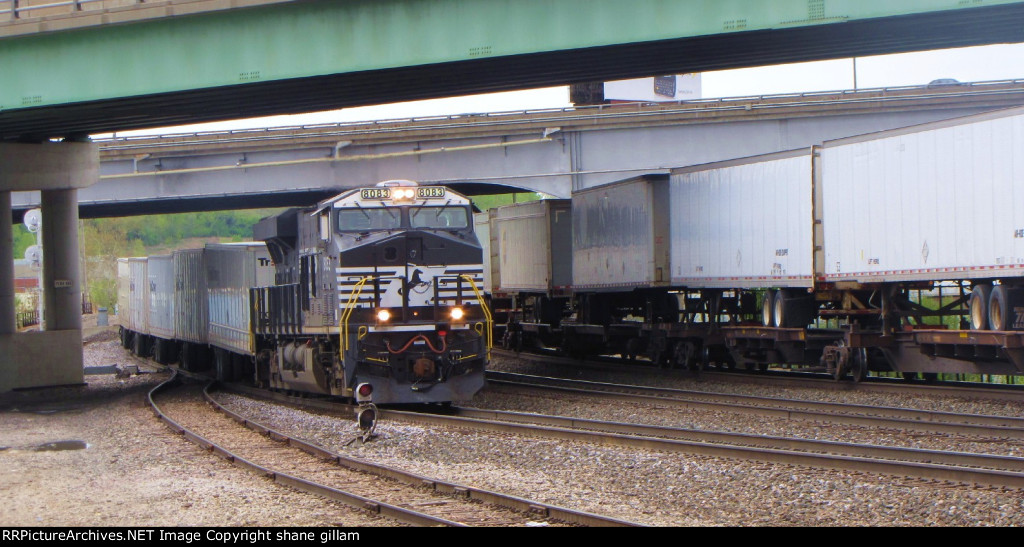 NS 8083 Leads Ns 240!